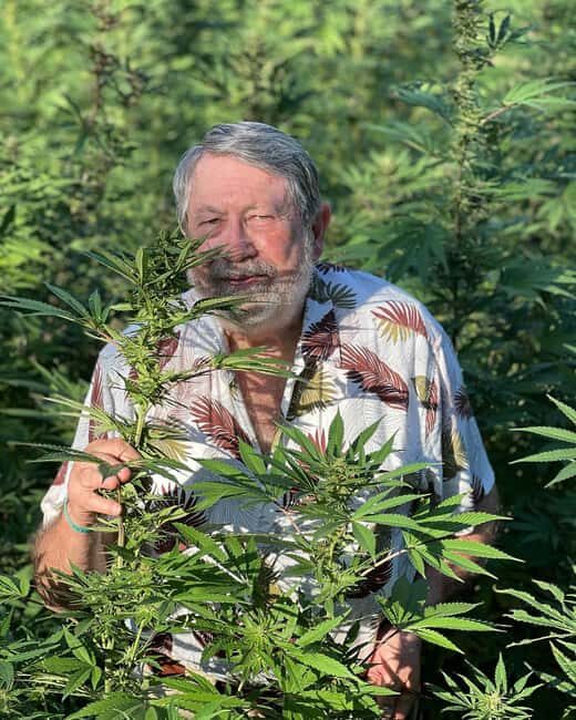 Montego Bay: Marijuana Farm Private Tour with Transportation - What to Expect from This Marijuana Farm Tour