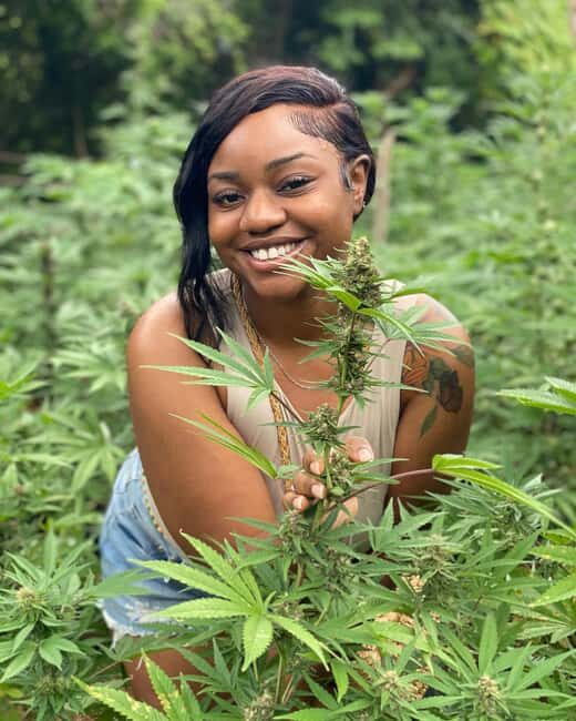 Montego Bay Marijuana Farm Tour - An Authentic Look at Cannabis Cultivation in Jamaica