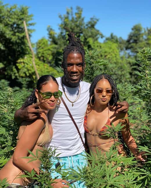 Montego Bay Marijuana Farm Tour - Similar Experiences