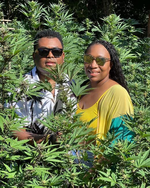 Montego Bay Marijuana Farm Tour - The Sum Up