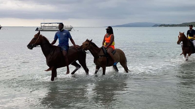 Montego Bay: Oceanfront Horseback Ride at Braco Stables - A Scenic Ride Through Jamaica’s Countryside