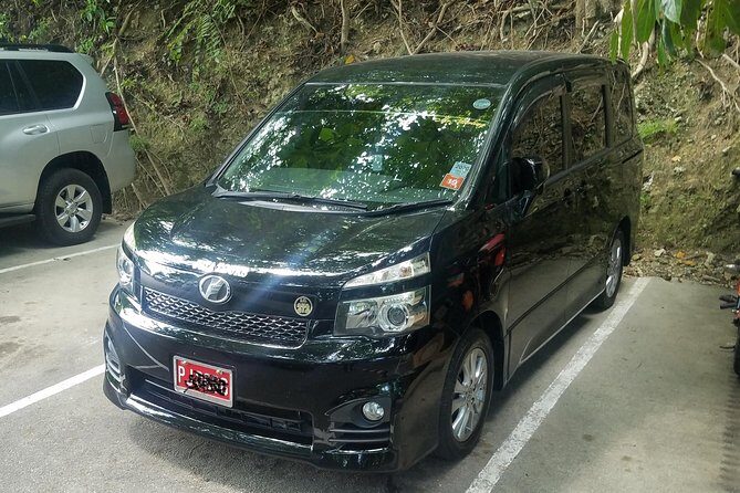 Montego Bay Private Airport Transfer - Why Choose This Private Airport Transfer?