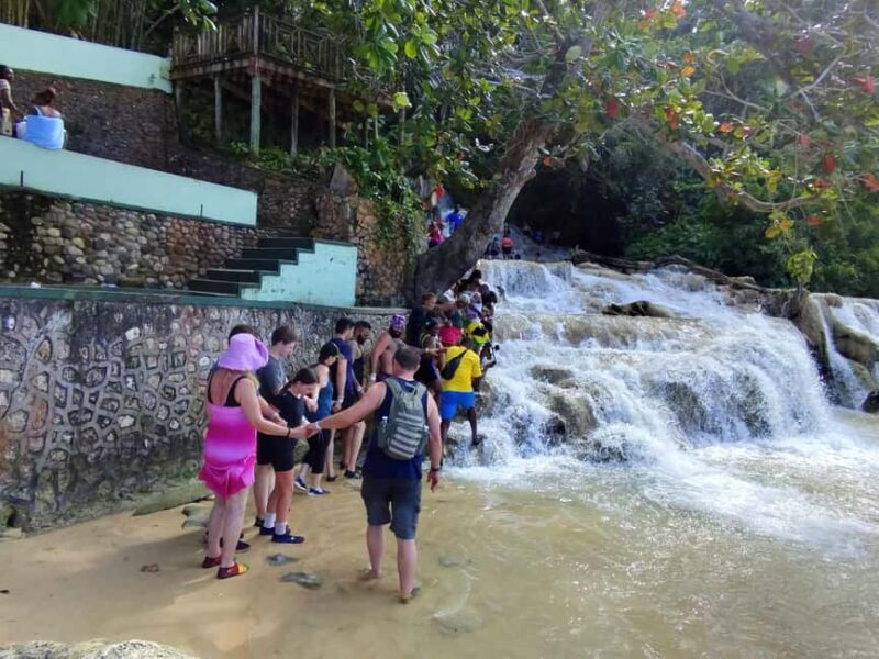 Montego Bay: Private Bob Marley and Dunn's River Falls Tour - A Deep Dive into the Experience