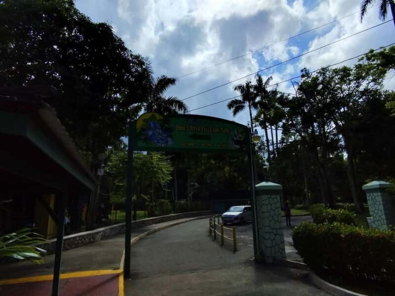 Montego Bay: Private Bob Marley and Dunn's River Falls Tour - The Sum Up