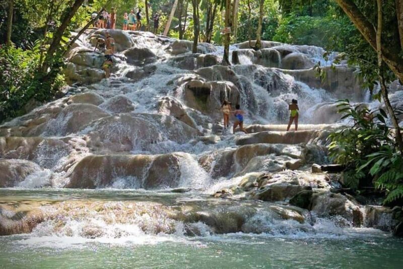 Montego Bay: Private Dunn's River Falls and Blue Hole Tour - A Deep Dive into the Experience