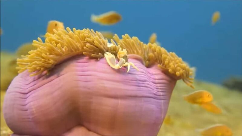 Montego Bay: Private Full-Day Tour to Negril - The Grand Finale: Ricks Cafe