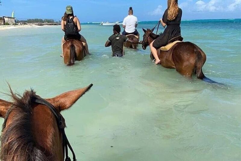 Montego Bay: Private Horseback Ride & Blue Hole Tour - Introduction