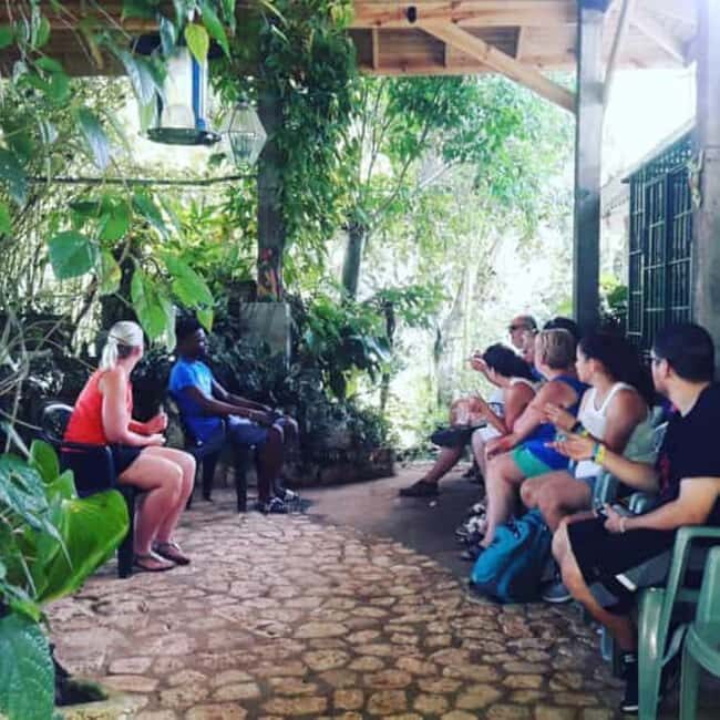 Montego Bay: Private Rocklands Bird Sanctuary Trip - Key Points