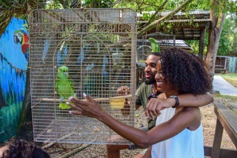 Montego Bay: Private Rocklands Bird Sanctuary Trip - Why Choose the Rocklands Bird Sanctuary Trip?