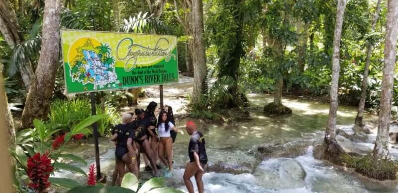Montego Bay: River Rafting and Dunn's River Falls Day Trip - Key Points