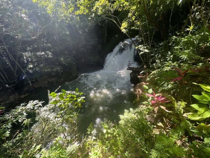Montego Bay: Secret Falls And River Rapids Adventure - The Sum Up