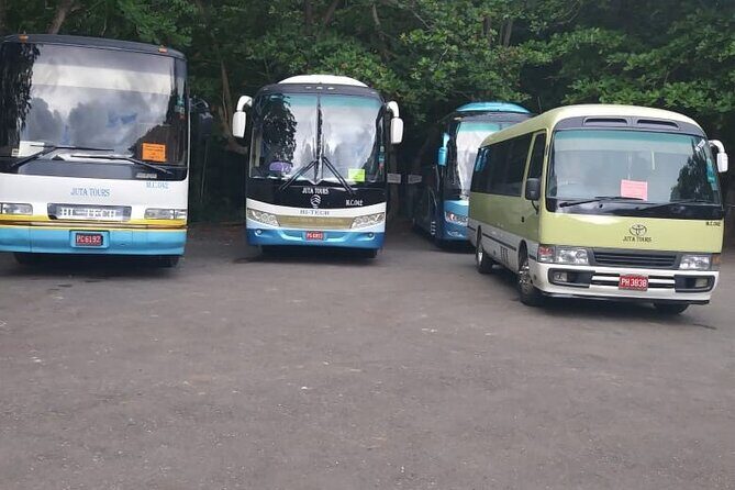 Montego Bay Shared Shuttle from Montego Bay Airport: One Way or Round Trip - Pricing and Value