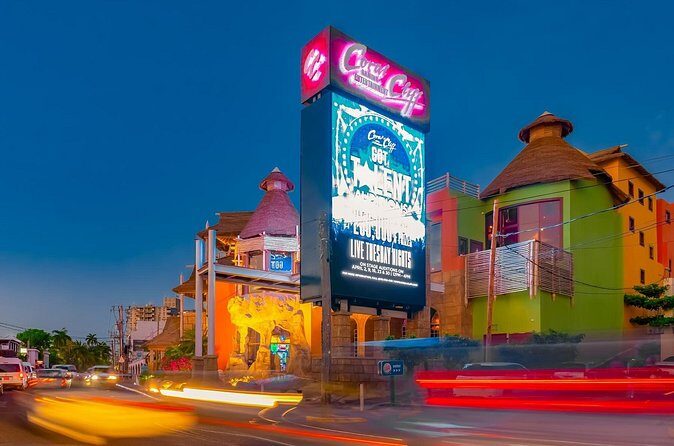 Montego Bay Sightseeing Small Group Tour - Who Should Consider This Tour?