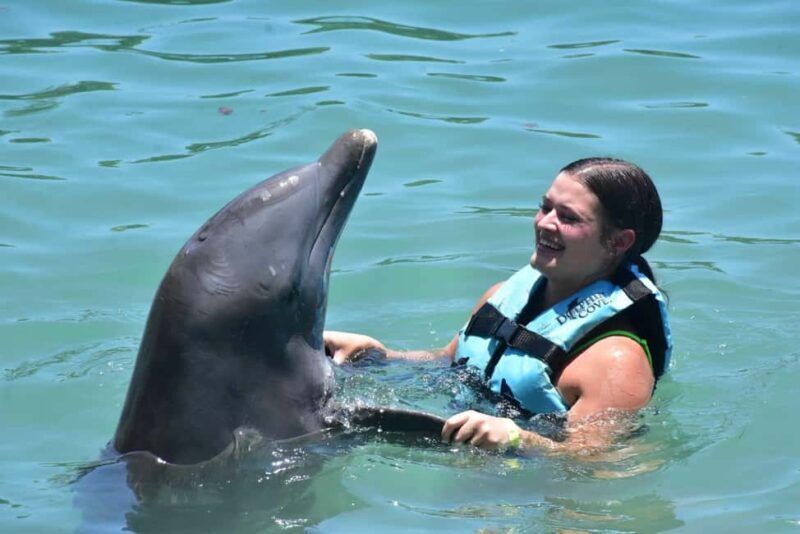Montego Bay: Swim With The Dolphins Adventure in Lucea - What Guests Are Saying
