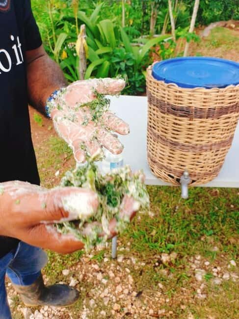 Montego Bay: The Great Kids Quest to the South Coast - The Practical Side: Transportation, Cost, and Booking