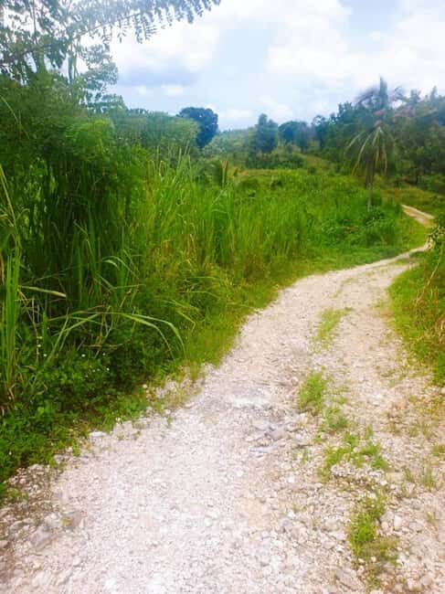 Montego Bay: The Great Kids Quest to the South Coast - The Sum Up: Who’s This Tour Best For?