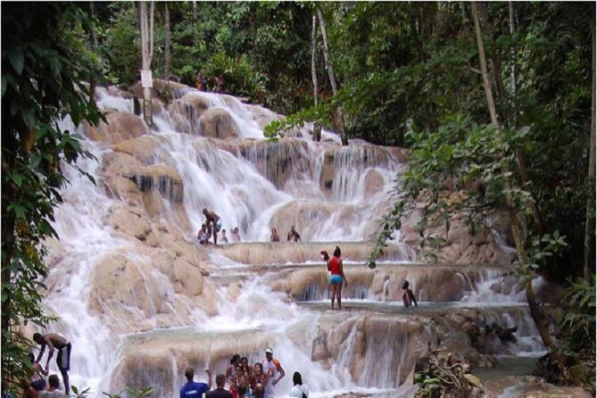 Montego Bay to Dunn's River Falls Half-Day Trip - Starting Your Adventure: Pickups and Timing