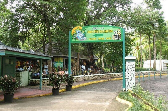 Montego Bay to Dunn's River Falls Half-Day Trip - Pricing and Value