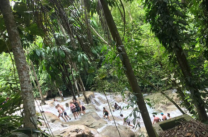 Montego Bay To Dunn's River Transport - Who Should Consider This Tour?