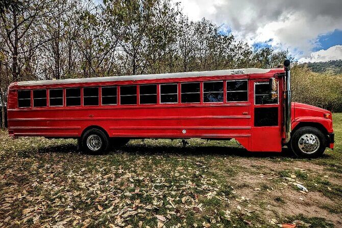 Montego Bay to Kingston PickUp & Drop-Off Service UP 20 PEOPLE - Who Is This For?