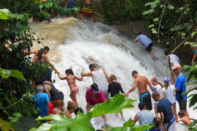 Montego Bay tour: Dunn's River Falls - Why This Tour Offers Great Value