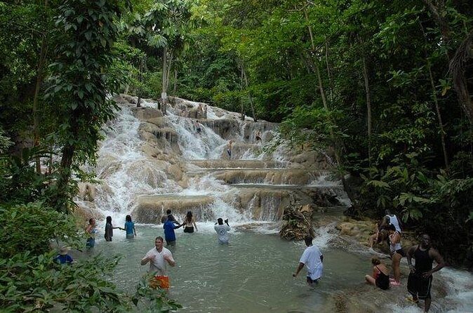 Montego Bay tour: Dunn's River Falls - Who Is This Tour Best For?
