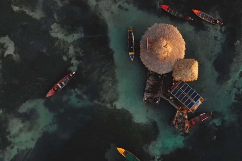 Montego Bay: YS Falls and Appleton Rum Private Tour by Van - Key Points