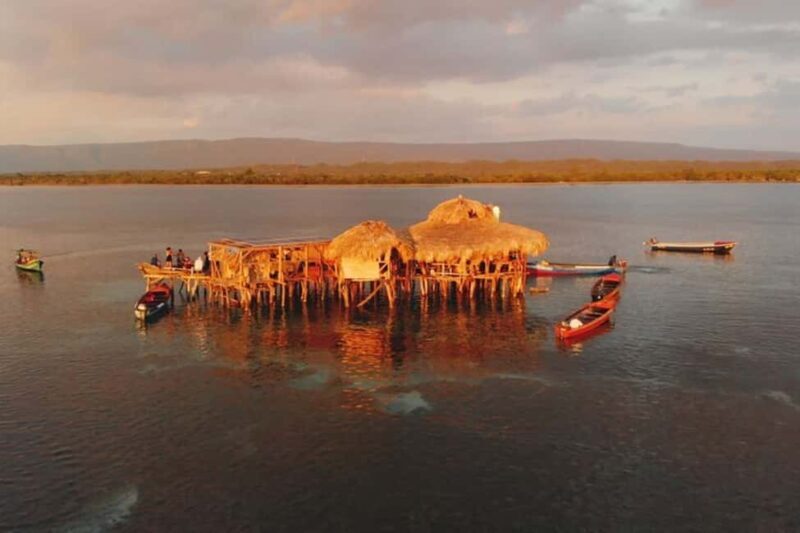 Montego Bay: YS Falls and Appleton Rum Private Tour by Van - An Authentic Look at Jamaica’s South Coast