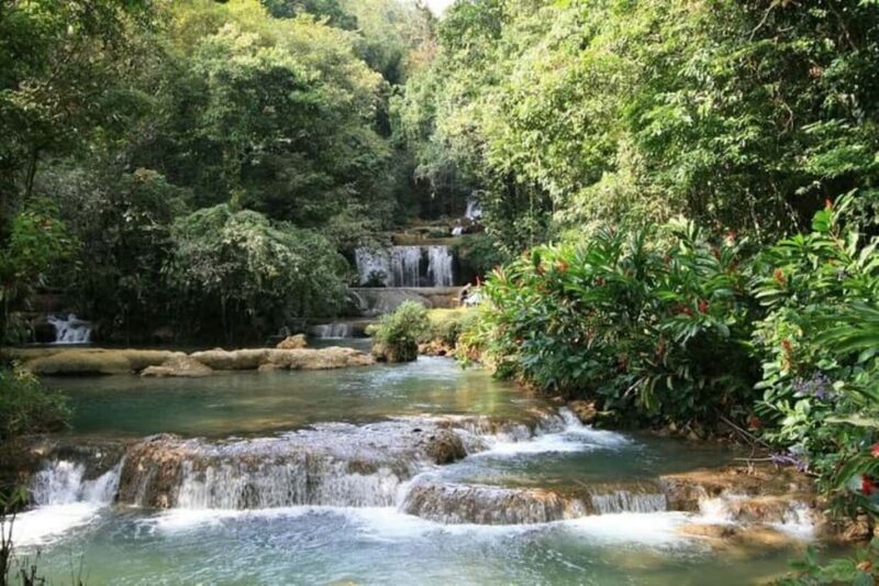 Montego Bay: YS Falls and Appleton Rum Private Tour by Van - Who Will Love This Tour?