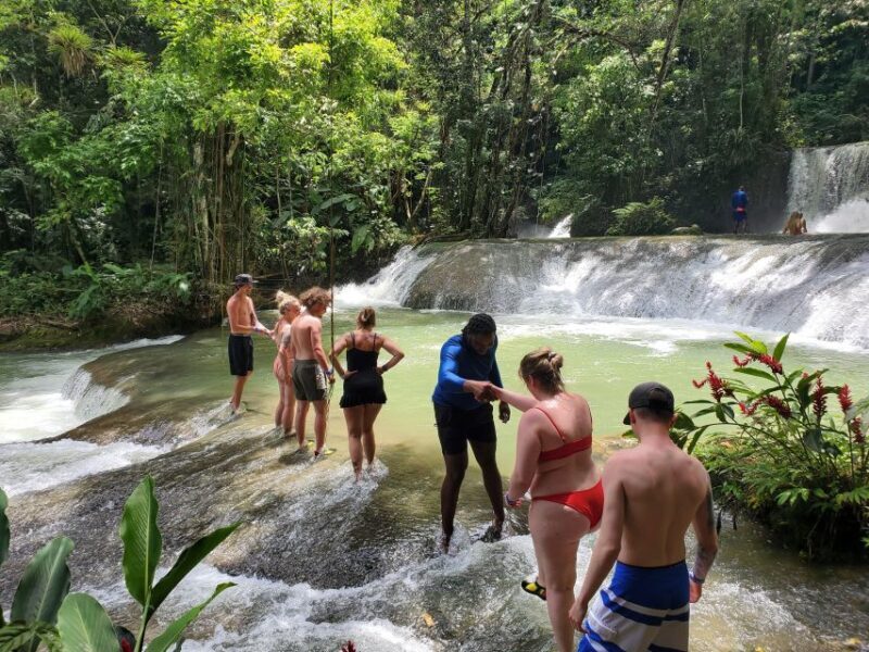 Montego Bay: YS Falls and Appleton Rum Private Tour by Van - FAQ