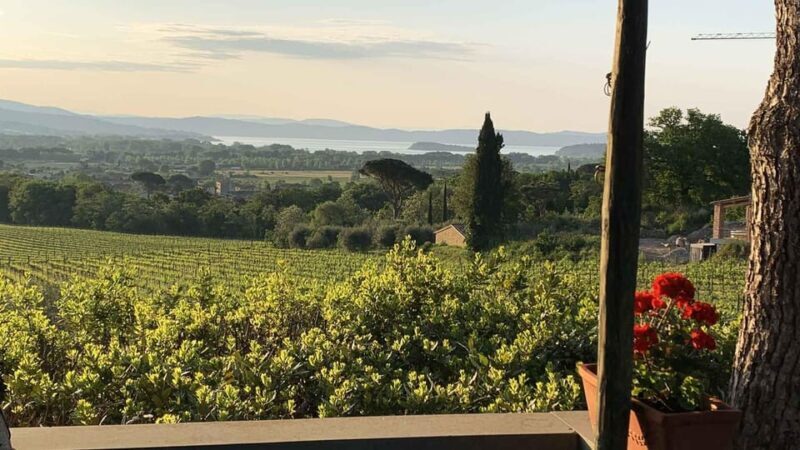 MONTEMELINO RARE WINES SELECTION - The Itinerary: What to Expect from Start to Finish