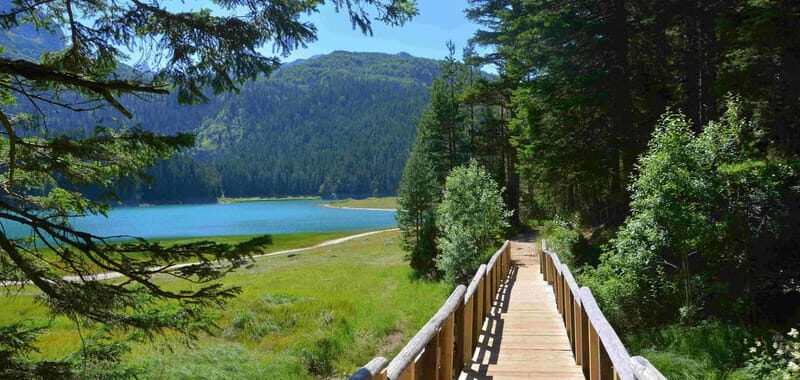 Montenegro Canyons day trip from Herceg Novi - What’s Included, What’s Not