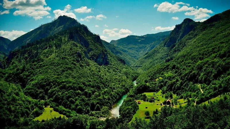 Montenegro: Tara River Whitewater Rafting - The Experience: What Travelers Are Saying