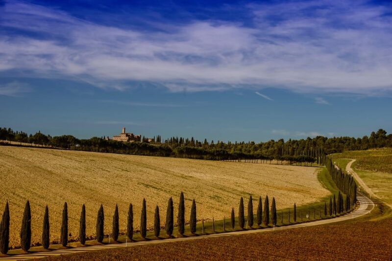 Montepulciano and Pienza: the best of Tuscany! - Key Points