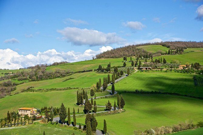Montepulciano and Pienza Tuscany Full Day Tour from Rome - Key Points