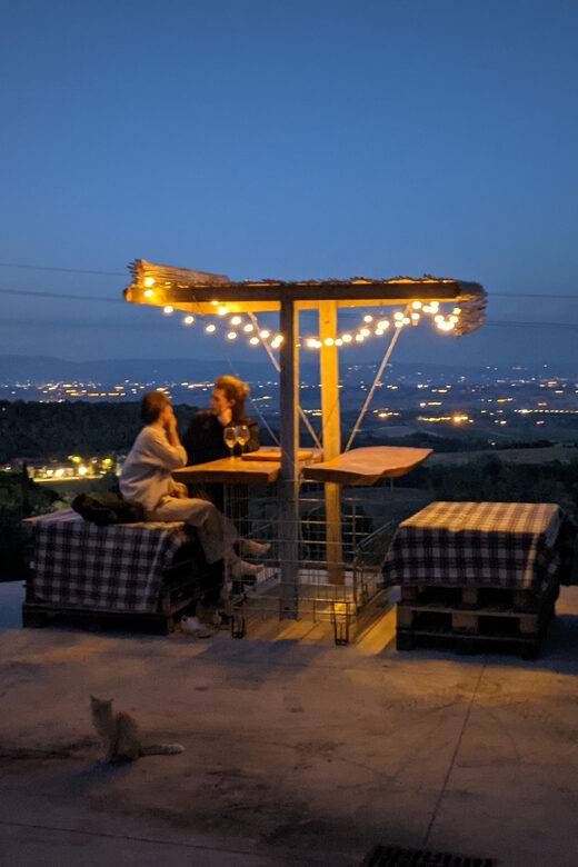 Montepulciano: Artisan Heroic Wine Tasting at the Terrace - Who Will Love This Tour?