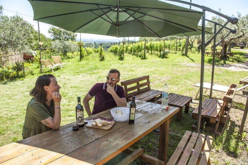 Montepulciano: Cinta Senese Tour With Food Tasting - Key Points