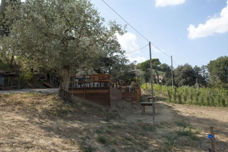 Montepulciano: Cinta Senese Tour With Food Tasting - Final Words