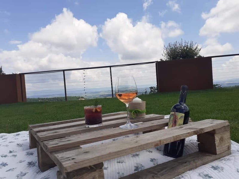 MONTEPULCIANO - PIC NIC WITH WINE! SURROUNDED BY VINEYARDS - An In-Depth Look at the Experience