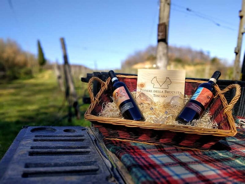 MONTEPULCIANO - PIC NIC WITH WINE! SURROUNDED BY VINEYARDS - The Sum Up: Why We Recommend This Experience