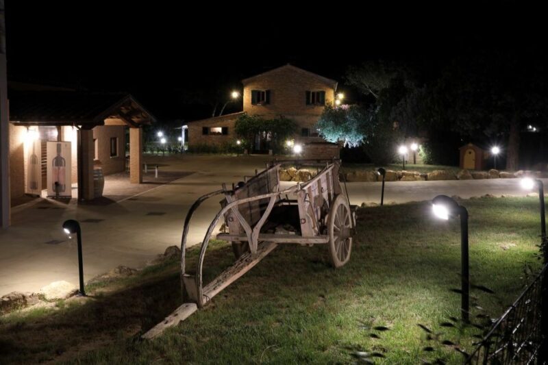 Montepulciano: Tuscan Winery Tour with Wine Tasting & Meal - An In-Depth Look at the Experience