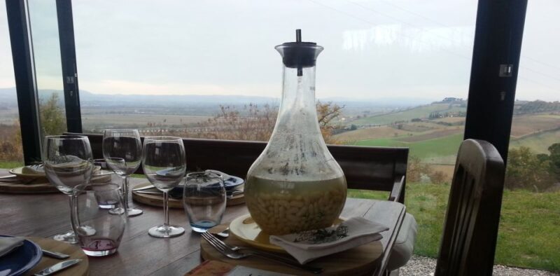 Montepulciano: Vino Nobile Wine Tasting Tour with Lunch - Using Past Reviews to Paint a Complete Picture