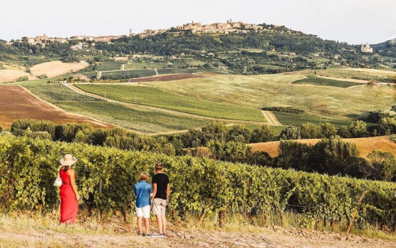 Montepulciano: Vino Nobile Wine Tour  Meet the Producers - A Practical Guide to the Montepulciano Vino Nobile Tour