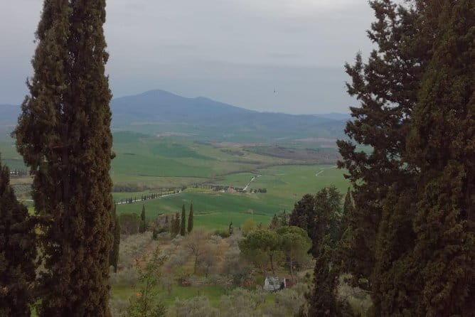 Montepulciano Wine & Pienza Flavors Private Day Tour from Tuscany - Frequently Asked Questions (FAQ)