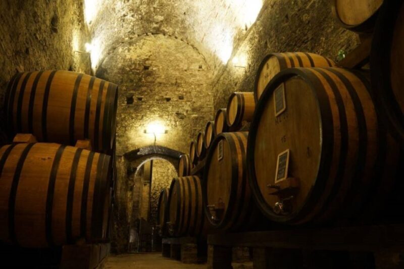 Montepulciano: Wine Tasting and Cellar Tour - Who Will Love This Tour?