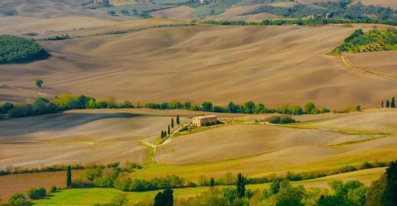 Montepulciano: Wine Tasting & Lunch in a Typical Winery - Key Points