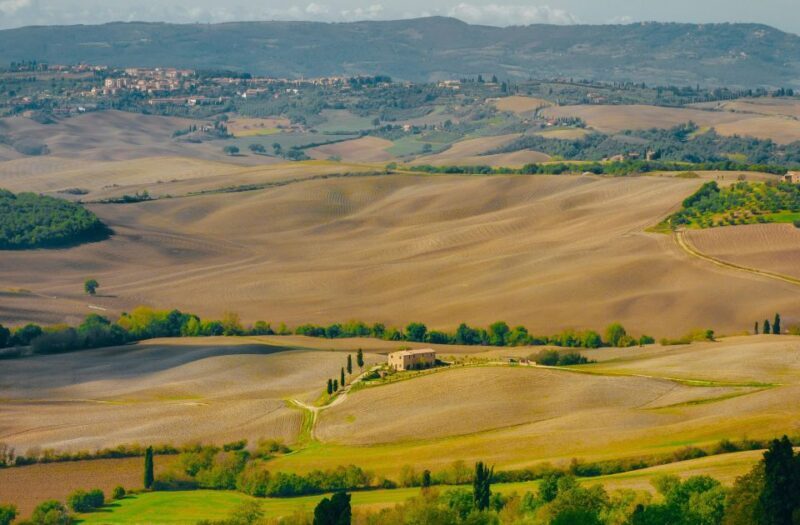 Montepulciano: Wine Tasting & Lunch in a Typical Winery - The Lunch Experience