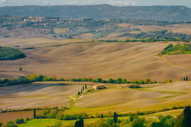 Montepulciano: Wine Tasting & Lunch in a typical winery - Discovering Montepulciano Through Its Cellars and Flavors