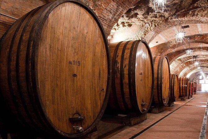 Montepulciano: Wine Tasting & Lunch in a typical winery - Final Thoughts: Is This the Wine Tour for You?