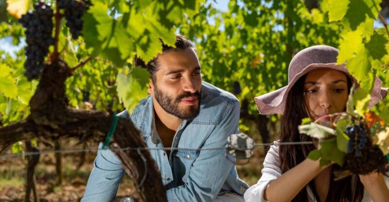 Montepulciano: Wine Tasting with typical Tuscan Cold Cuts - Montepulciano: Wine Tasting with Typical Tuscan Cold Cuts — A Practical and Delicious Experience in Tuscany